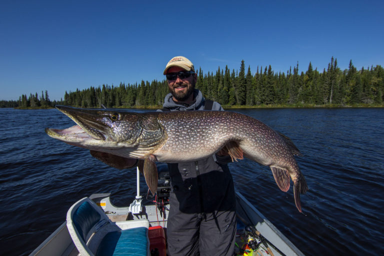 10 Northern Pike Facts | Superior Country