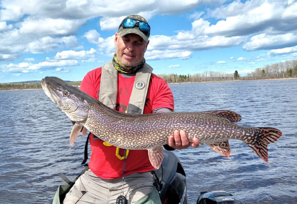 Top Five Lure Patterns for Pike - Superior Country