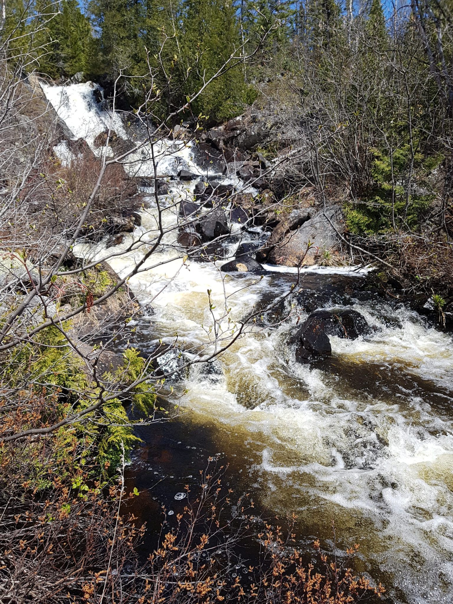 Schreiber - Superior Country