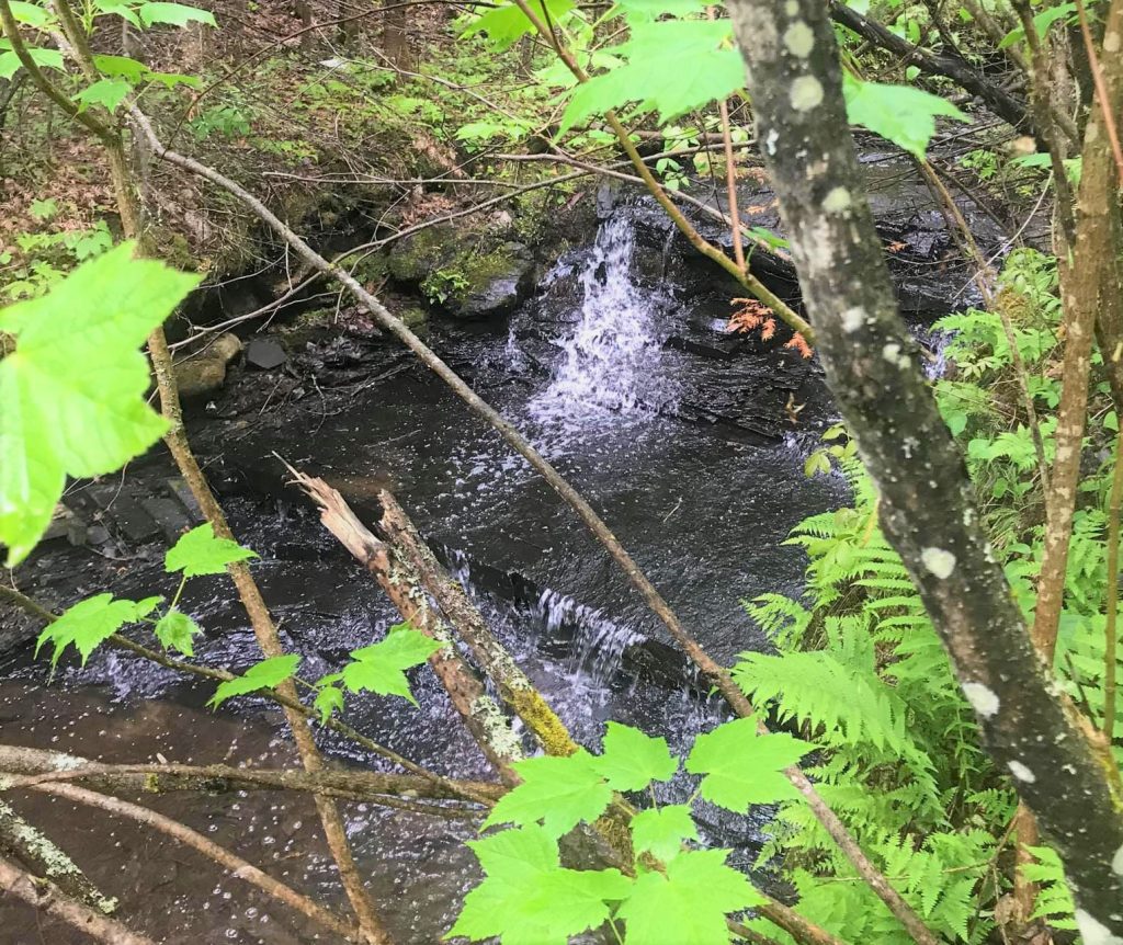 Little Falls Trail - Superior Country