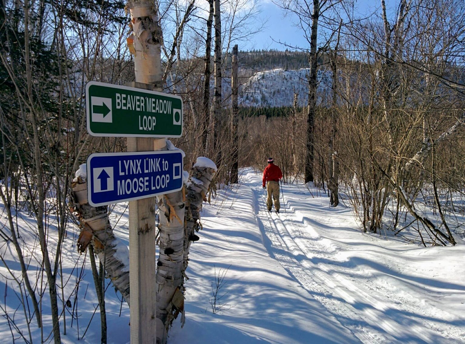 Nipigon - Superior Country