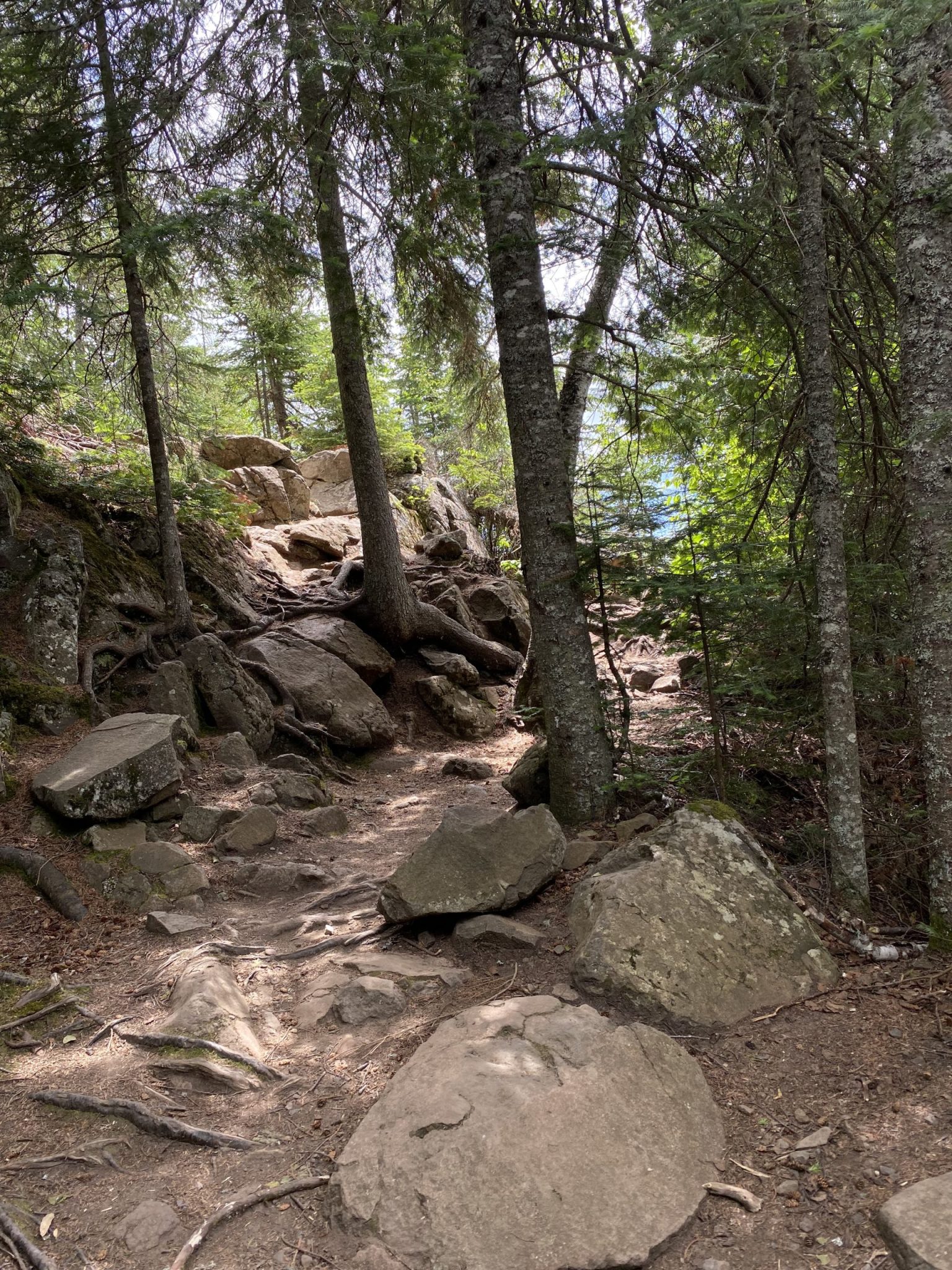 Sea Lion Trail - Superior Country