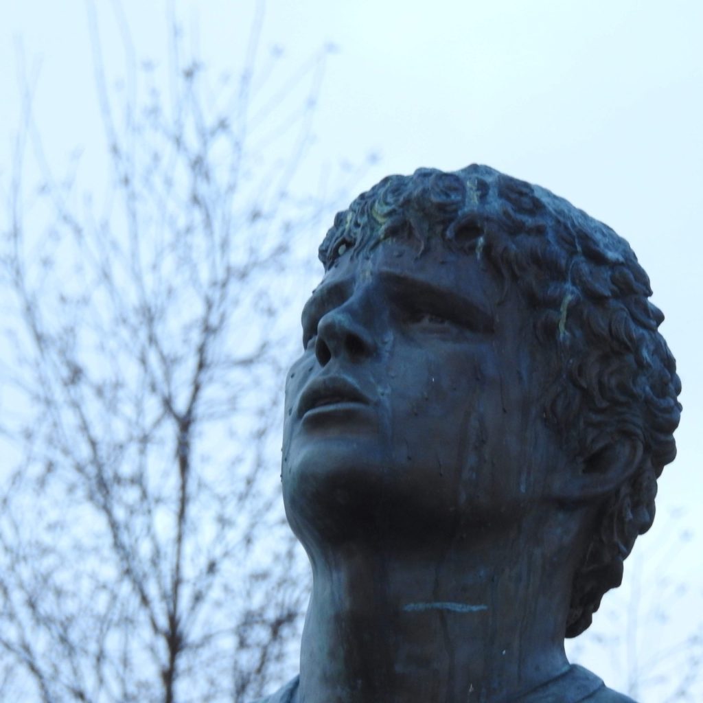 Terry Fox National Historic Monument Lookout - Superior Country