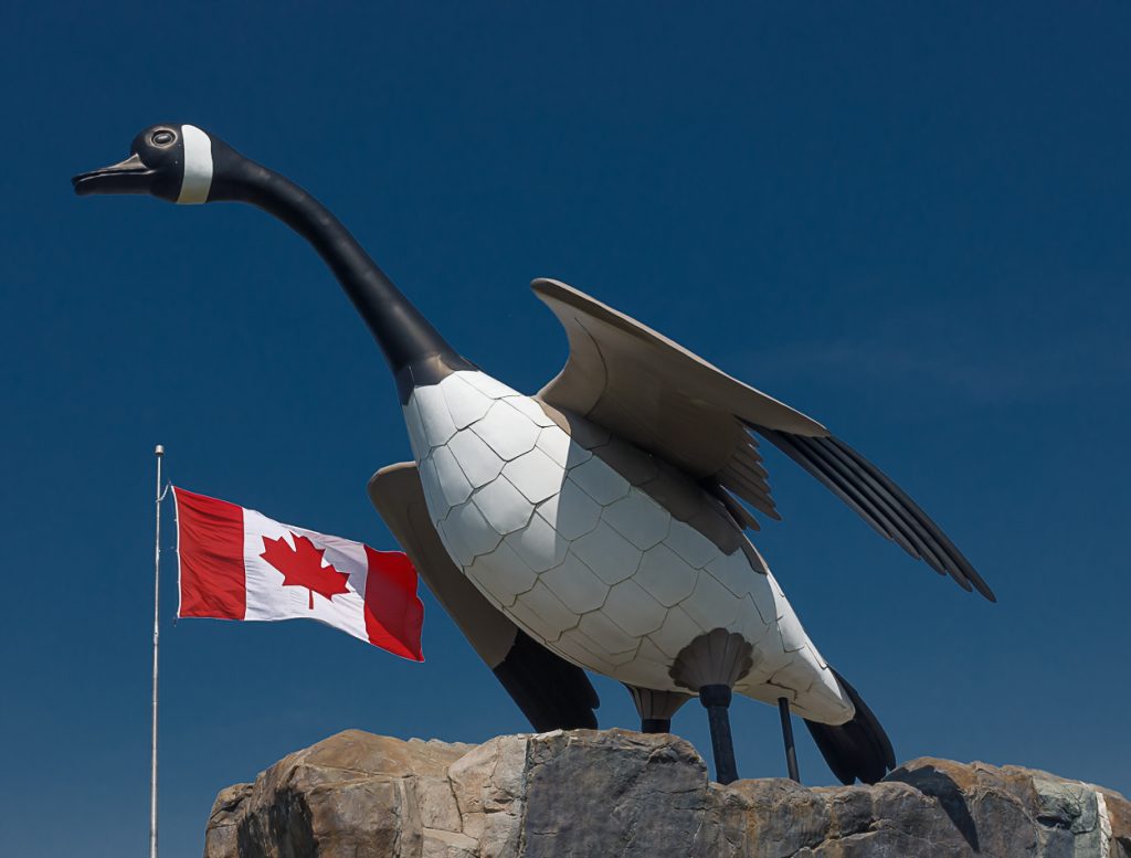 Wawa Goose - Superior Country