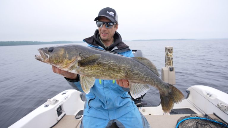 Dog Lake Resort - Superior Country