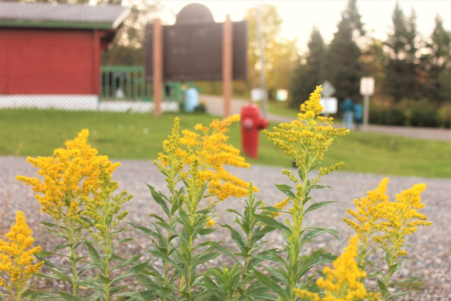 Nipigon - Superior Country